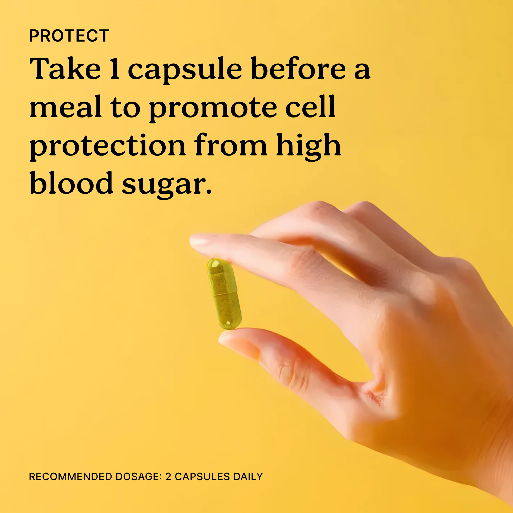 Sugar Guard Kit – Fling