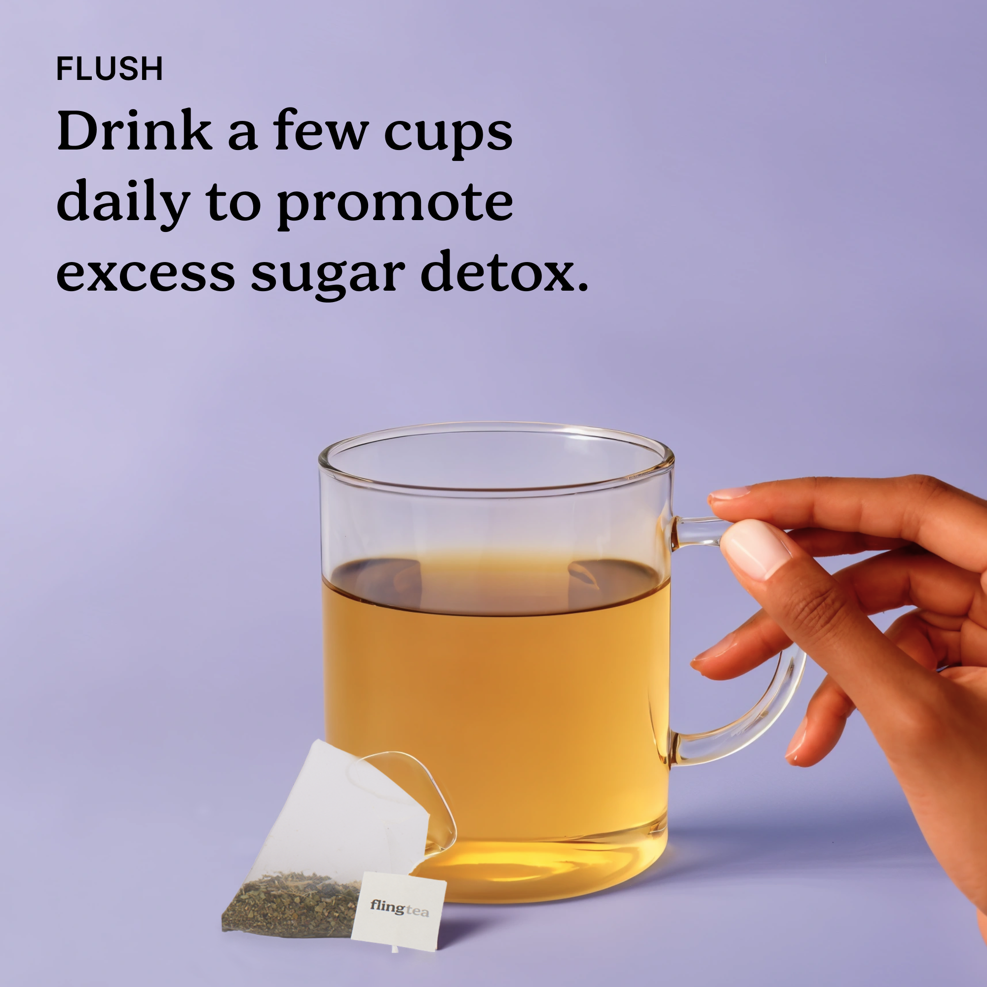 Sugar Guard Kit – Fling