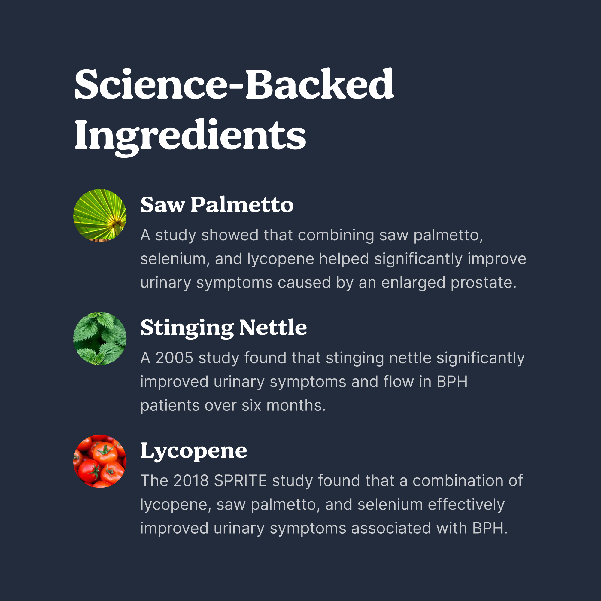 Prostate Flow Gummy - Saw Palmetto & 7 Ingredients for Prostate Health ...